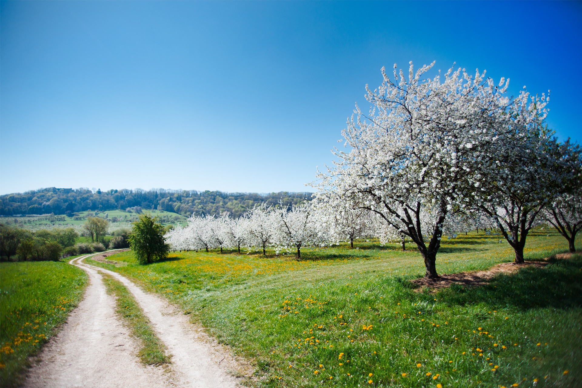 AEAEE » Lorraine - AEAEE